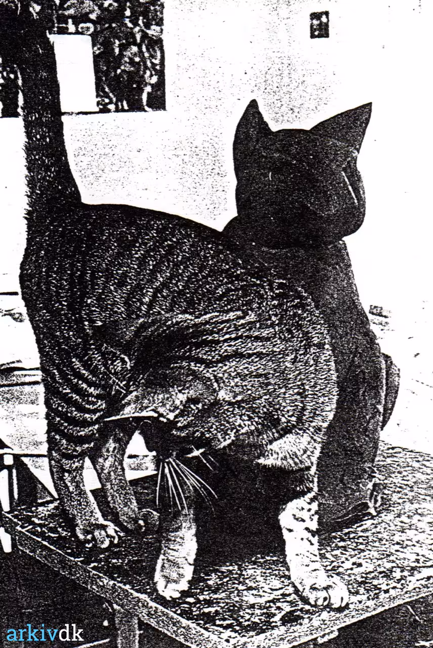 arkiv.dk | Lise Ring`s atelier i Meelse.