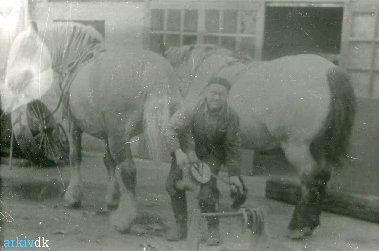 arkiv.dk | Smed Ejner Nielsen skoer en hest