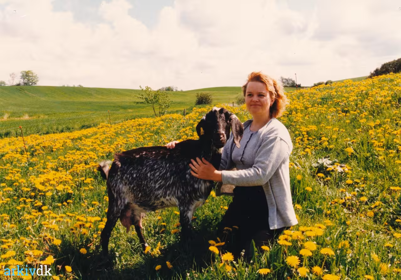 arkiv.dk | Tebstrup Gedeosteri, her ejeren Dorthe Sørensen på marken med sine nubiske geder
