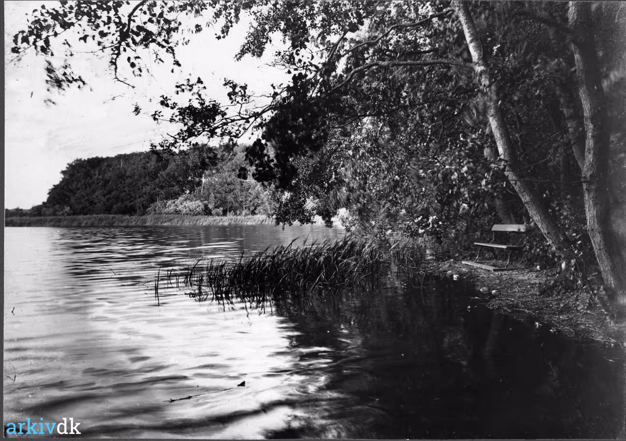 arkiv.dk | Søbred med bænk ved Silkeborg Langsø