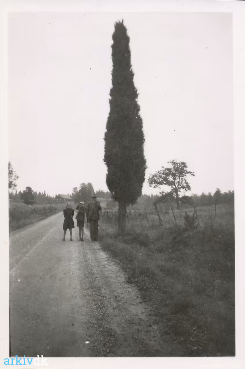 arkiv.dk | Alhed Marie Larsen og Jens Syrak Larsen sammen med farfar Johannes Larsen i Båxhult.