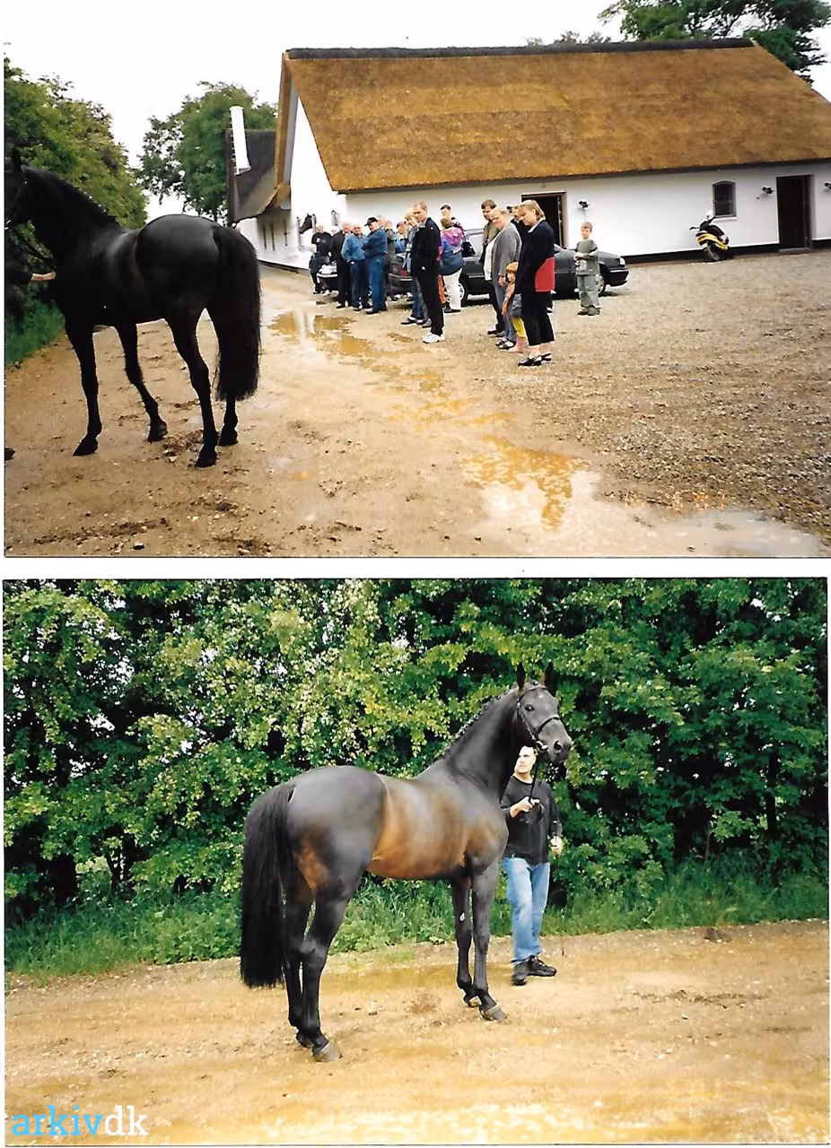 arkiv.dk | Stensbækvej 5A