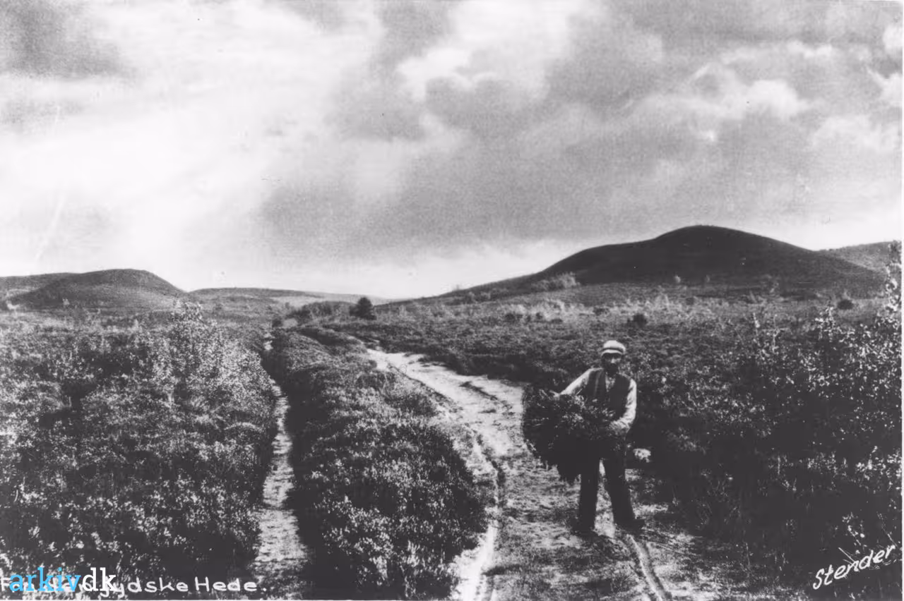 arkiv.dk | Hans Kasper stående i hjulsporet på Sejs Hede