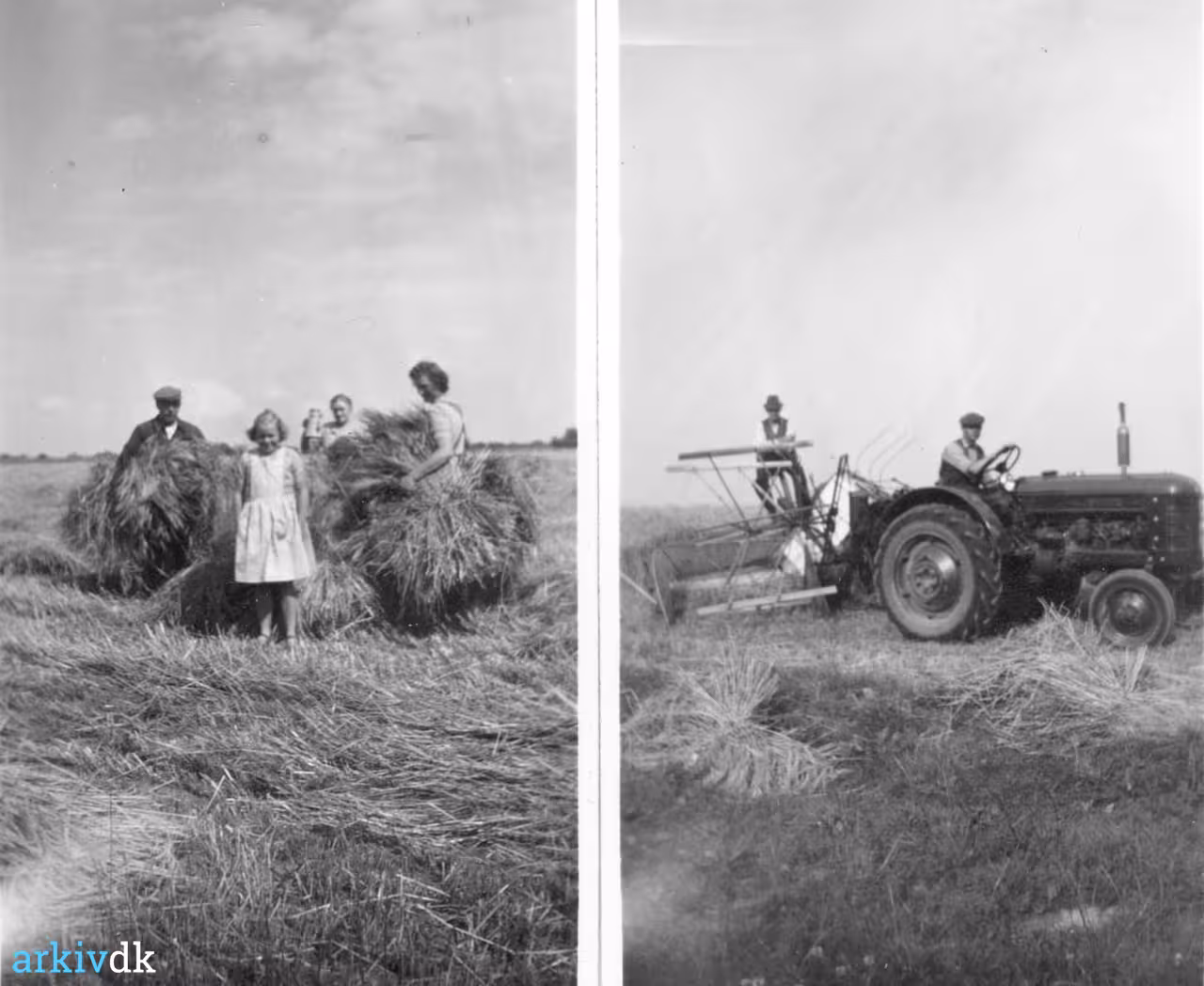 arkiv.dk | Høstbilleder fra Erikstrup, Gloslunde Strandvej 5, 4983 Dannemare