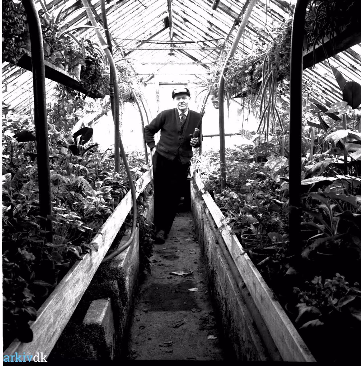 arkiv.dk | Postbud Laurits Olsen, Mern, 1958, Præstø