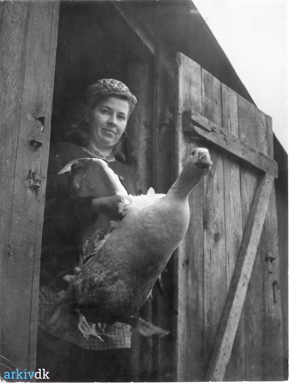 arkiv.dk | Ringsted Andelsfjerkræslagteri