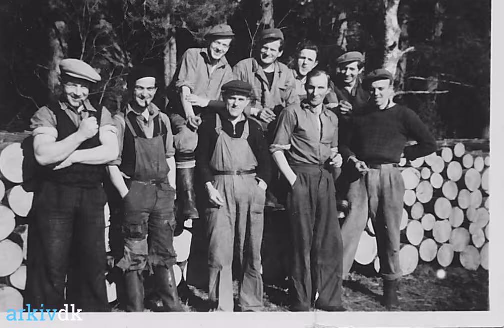 arkiv.dk | Billede fra Skovarbejde i Sverige ca. 1955.