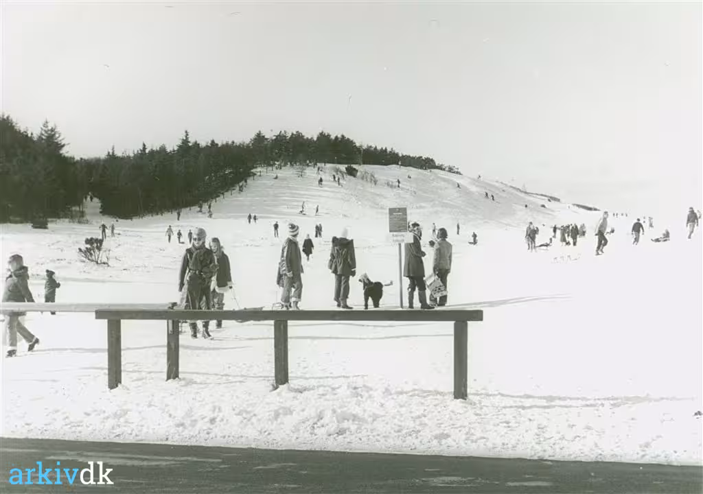 arkiv.dk | Vinterbillede fra Heather Hill