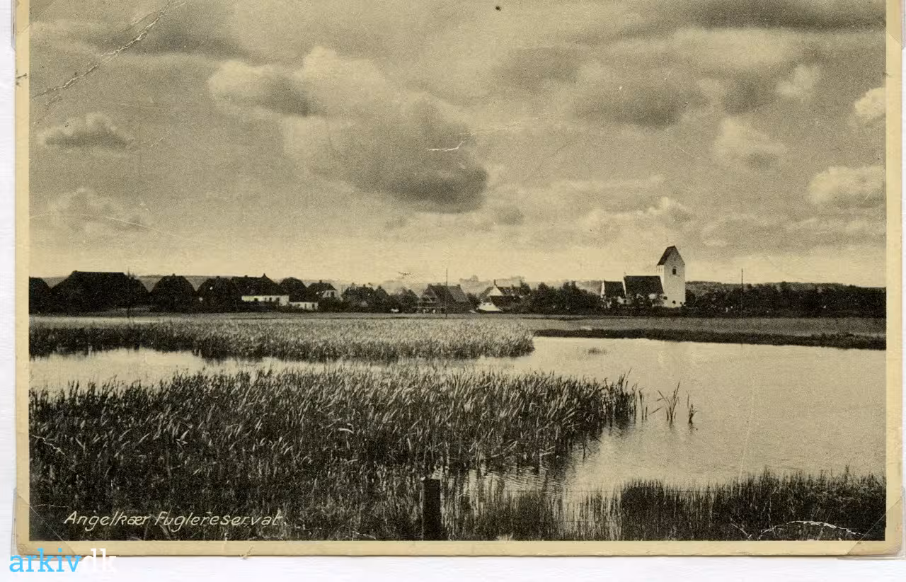 arkiv.dk | Bjerringbro by set fra Angelkær