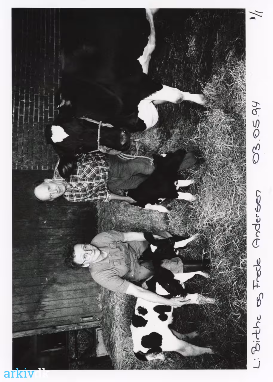arkiv.dk | Birthe og Frede Andersen ved 3linge kalve