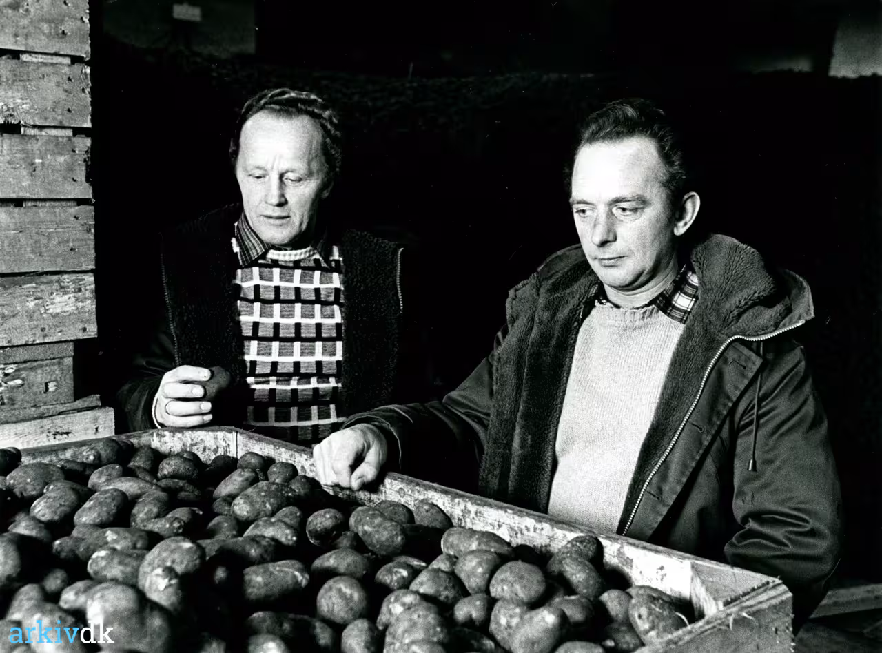 arkiv.dk | Bertel Strebøl Larsen og Egon Larsen, Skovlund Kartoffelcentral 1980.
