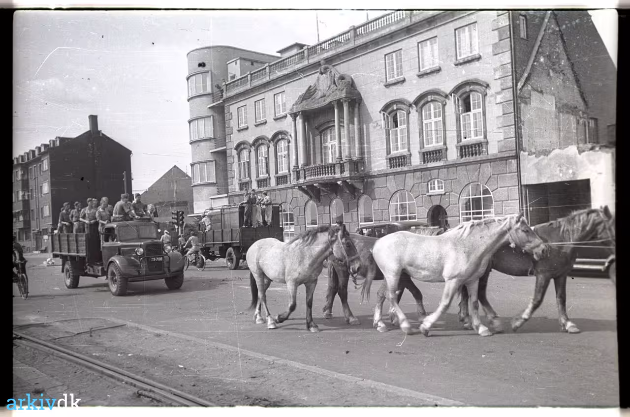 arkiv.dk | Heste løs i Randers. her er de indfanget og går i Havnegade foran Lille Amalienborg ...