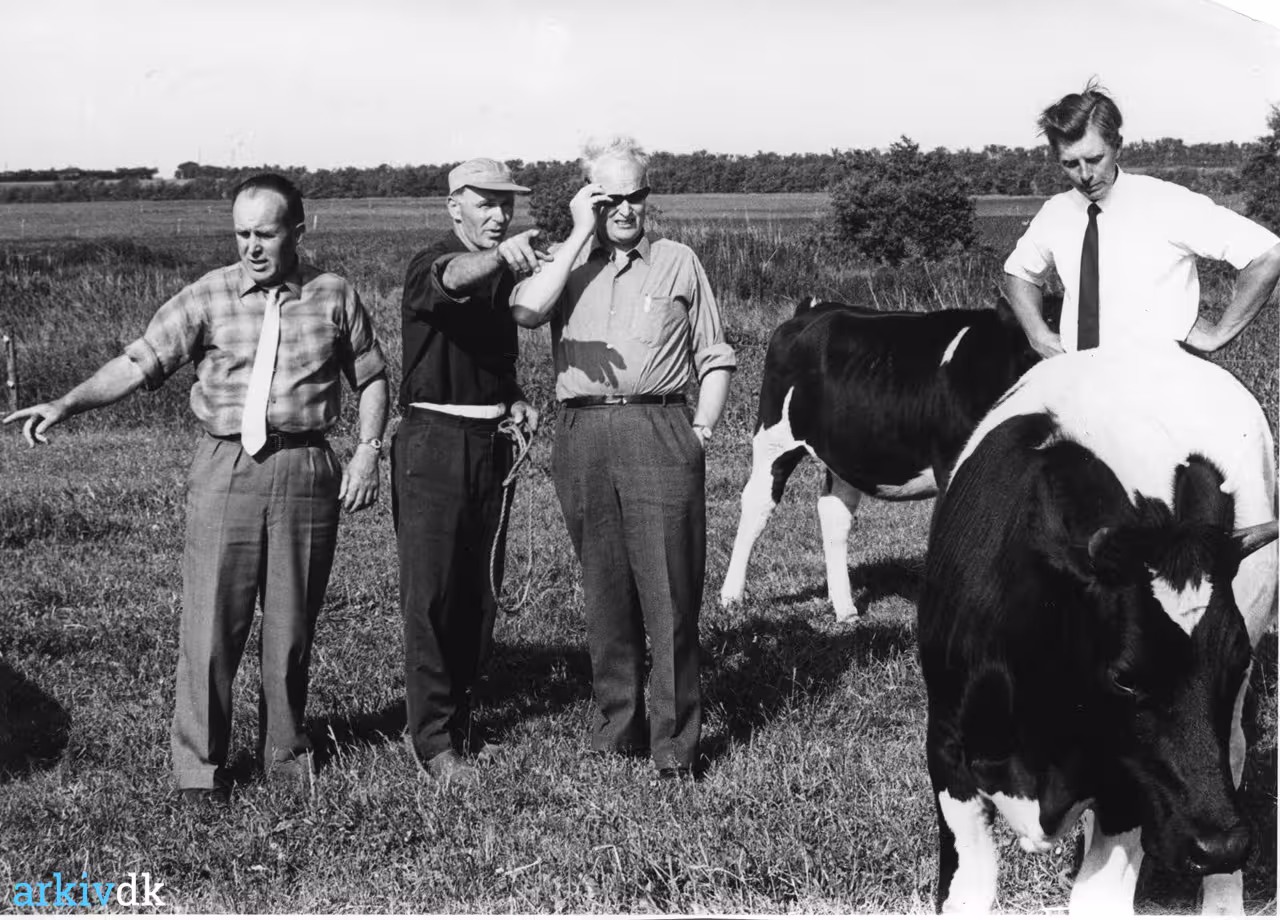 arkiv.dk | Konsulentbesøg i Salling omkr. 1970