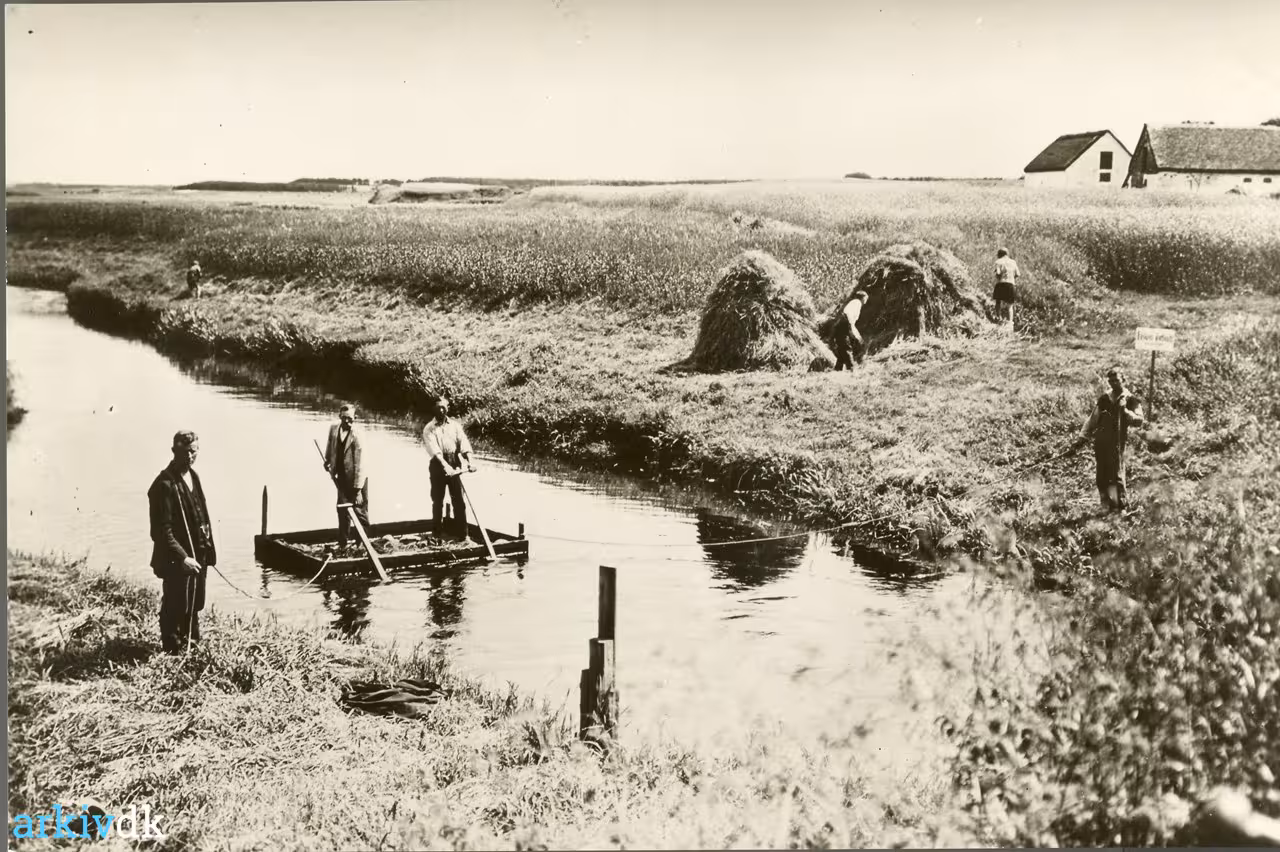 arkiv.dk | Uggerby Å ved Åstedbro syd for Sønderskov. Rensning af åen ...