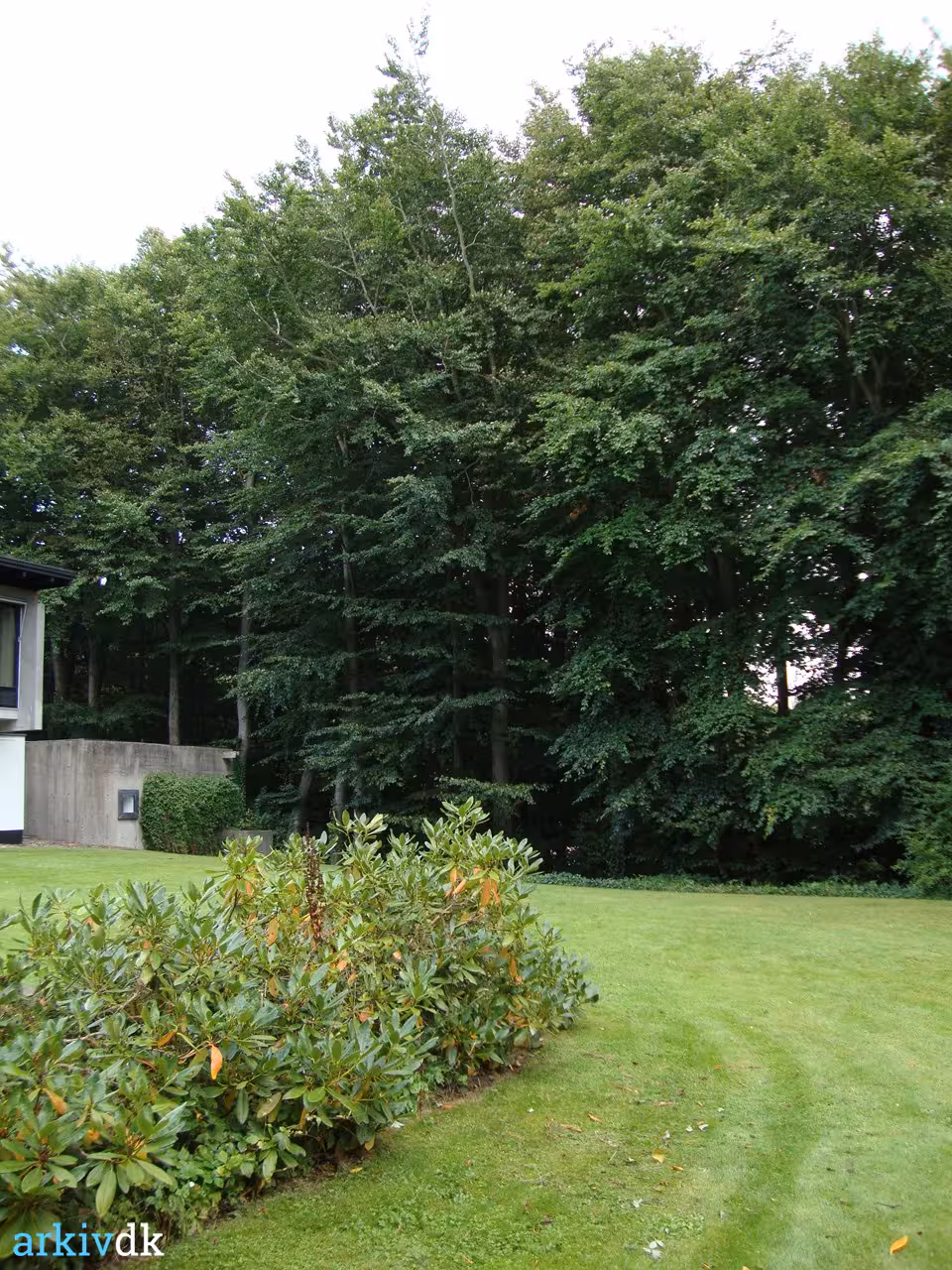 arkiv.dk | Knud Friis` villa, Højen 13, Brabrand. Parti fra haven.