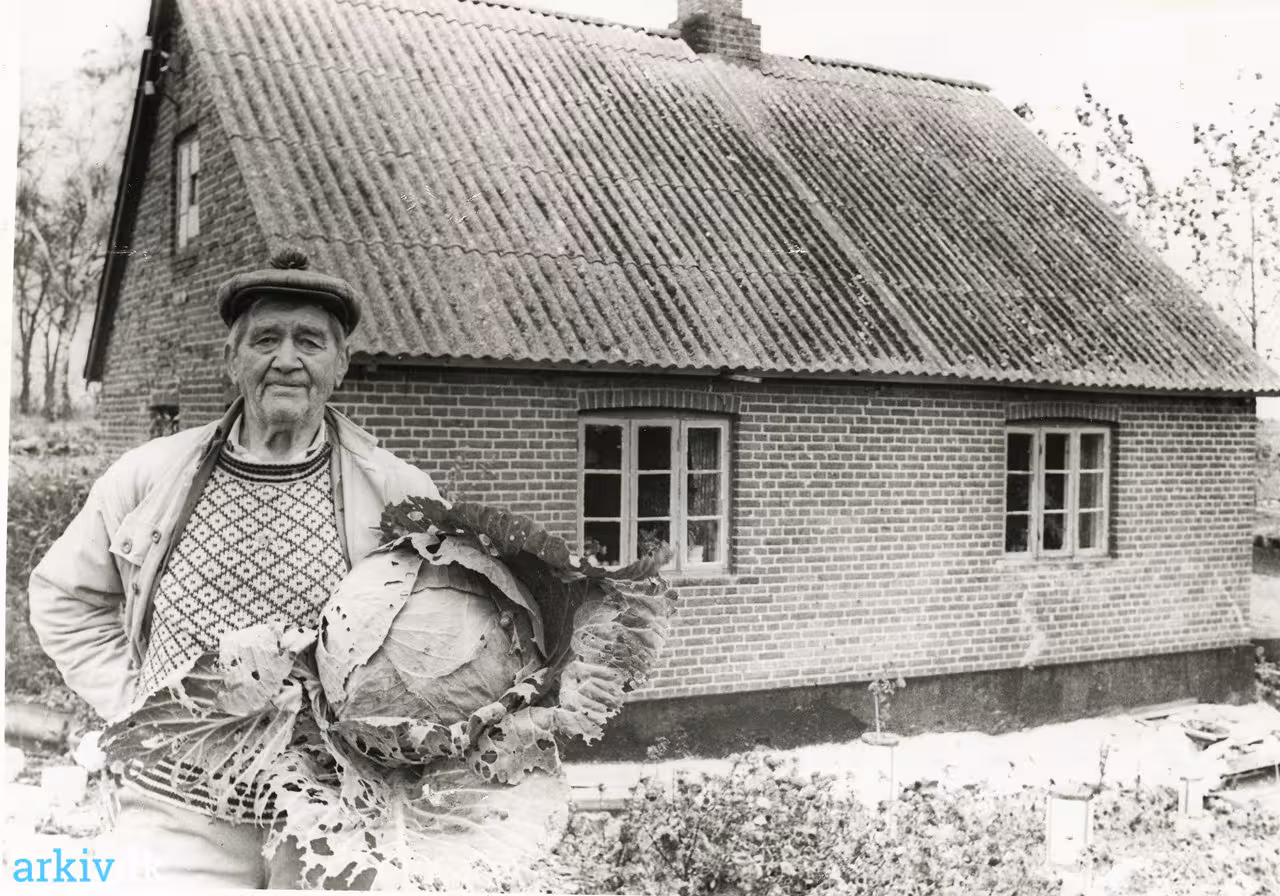 arkiv.dk | Morten Væver Nielsen, Vivild,