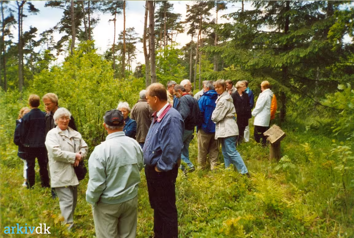 arkiv.dk | Udflugt til Guldharalds Høj i Winthers Plantage