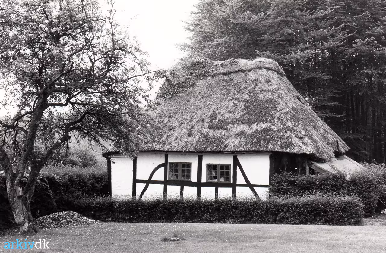 arkiv.dk | Brenderup skov nr. 11. år 1982, Brenderup sogn