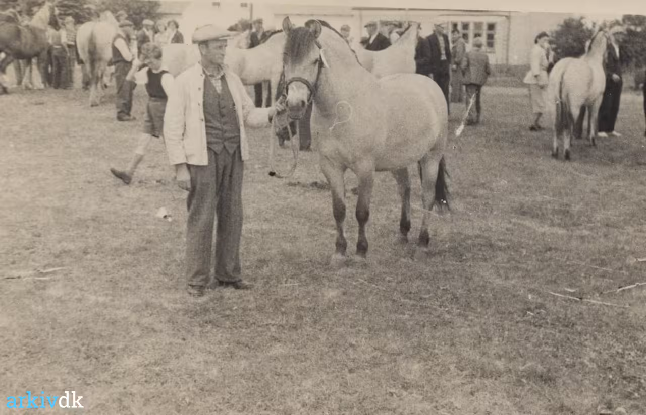 arkiv.dk | Anders Pedersen med hest, Kærsholm