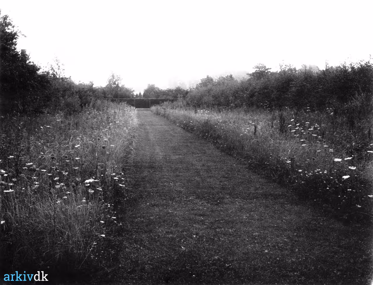 arkiv.dk | Ordrup Kirkegård. Engen.