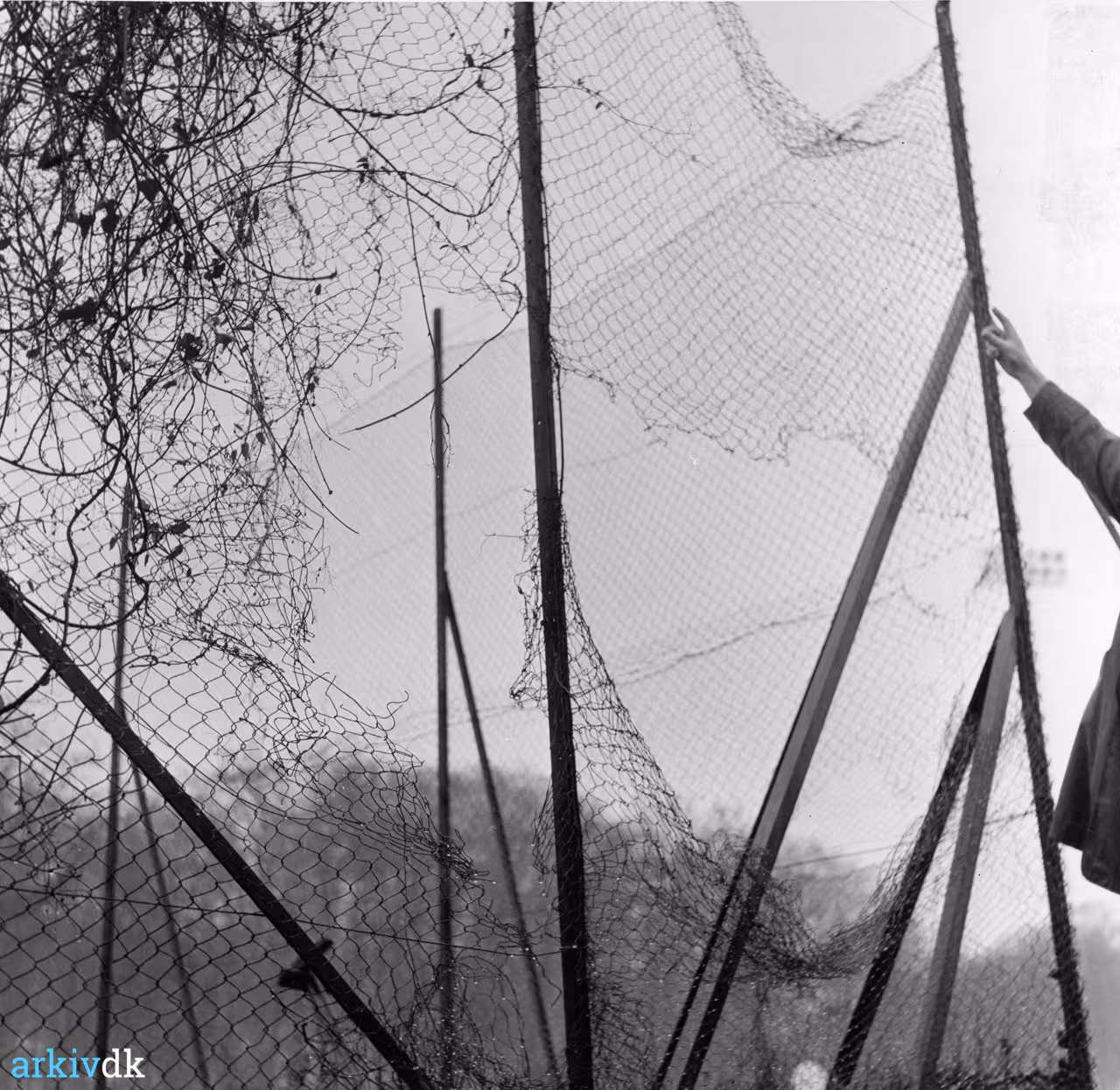 arkiv.dk | Hærværk på Vejle Stadion efter fodboldkamp, 1960