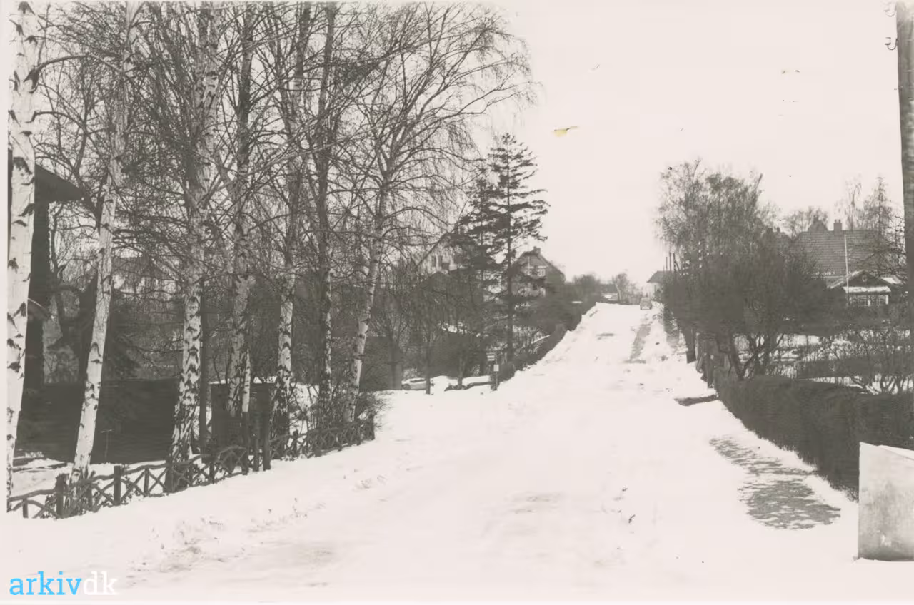 arkiv.dk | Viggo Stuckenbergsvej set fra Chr. Wintersvej-enden