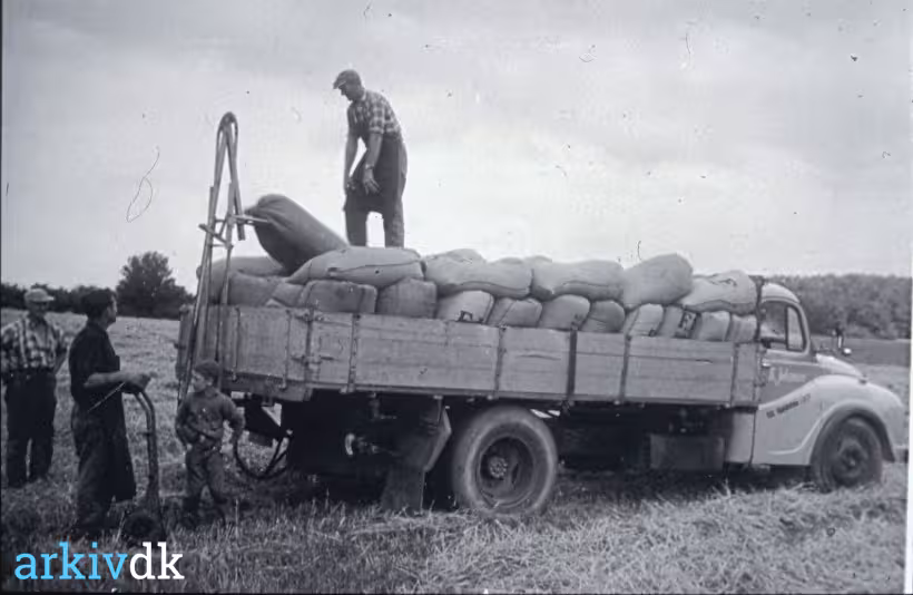 arkiv.dk | Vognmand Knud Johansen henter kornsække.