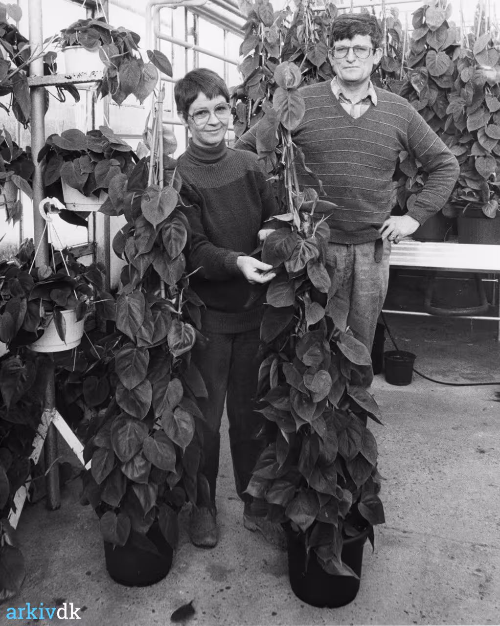 arkiv.dk | Karen og Vagn Søgaard, gartnere ca. 1985